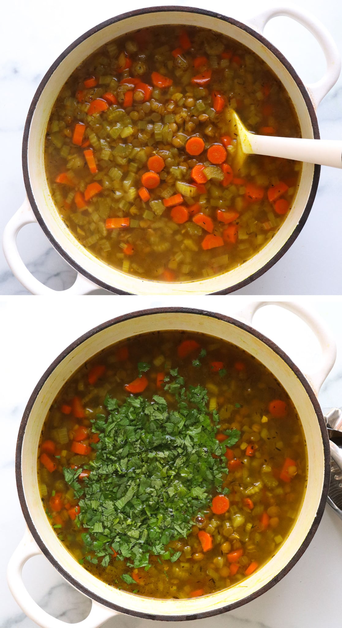 Lentil Detox Soup Recipe - Detoxinista