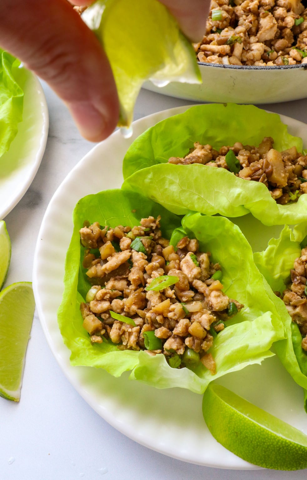 Ground Turkey Lettuce Wraps (with Fiber!) - Detoxinista